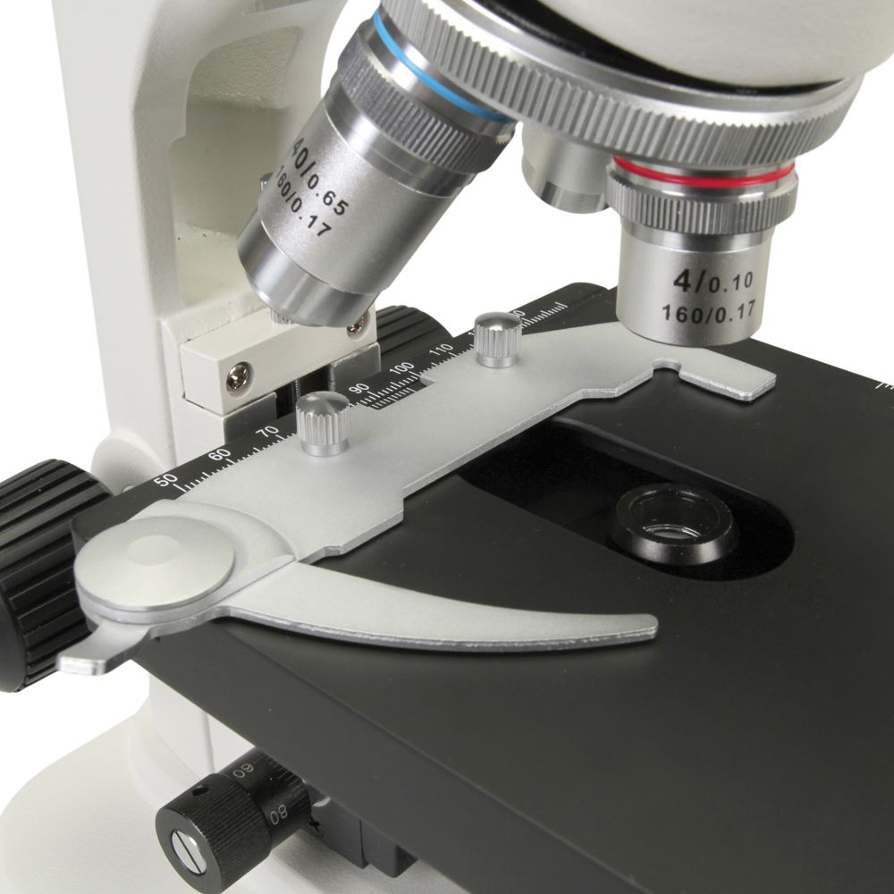 Wolfe® LED Teaching Educational Microscope with Mechanical Stage ...
