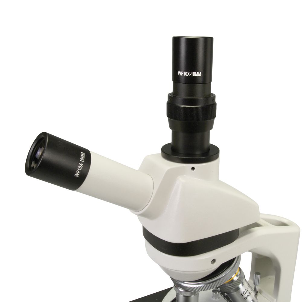 Wolfe® LED Teaching Educational Microscope with Mechanical Stage ...