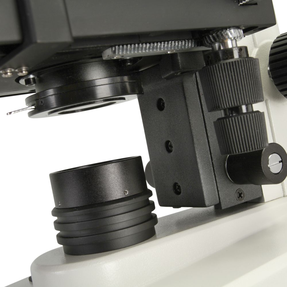 Wolfe® LED Teaching Educational Microscope with Mechanical Stage ...