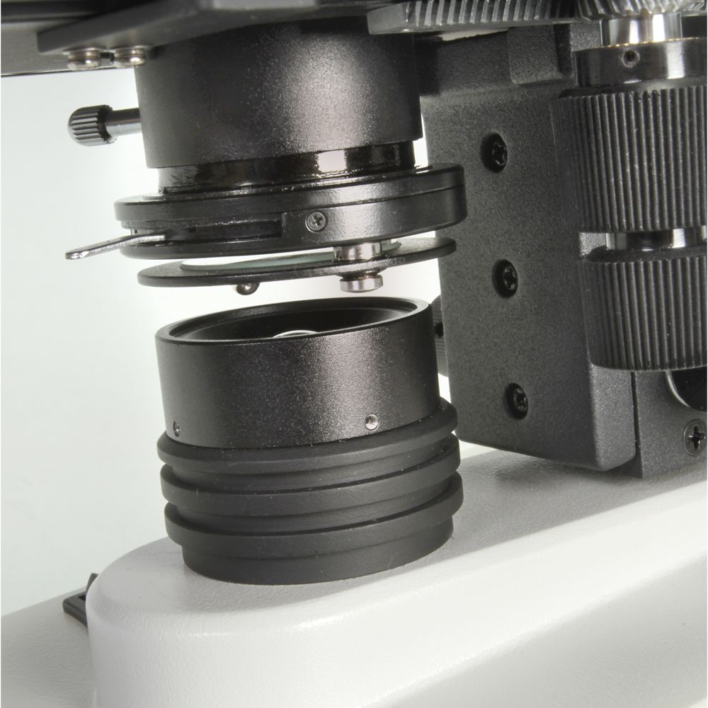 Wolfe® LED Advanced Educational Microscope with Mechanical Stage ...