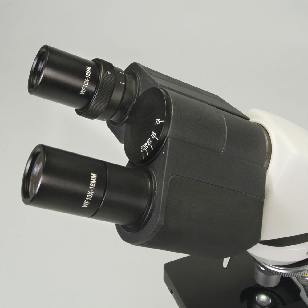 Wolfe® LED Advanced Binocular Microscope with Mechanical Stage ...