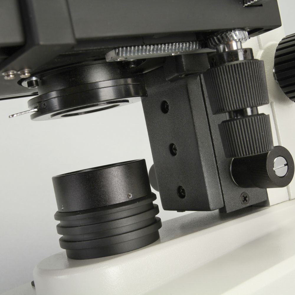 Wolfe® LED Cordless Advanced Educational Microscope with Mechanical ...