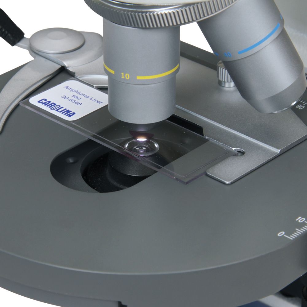 Wolfe® Cordless Advanced LED Monocular Microscope | Carolina Biological ...