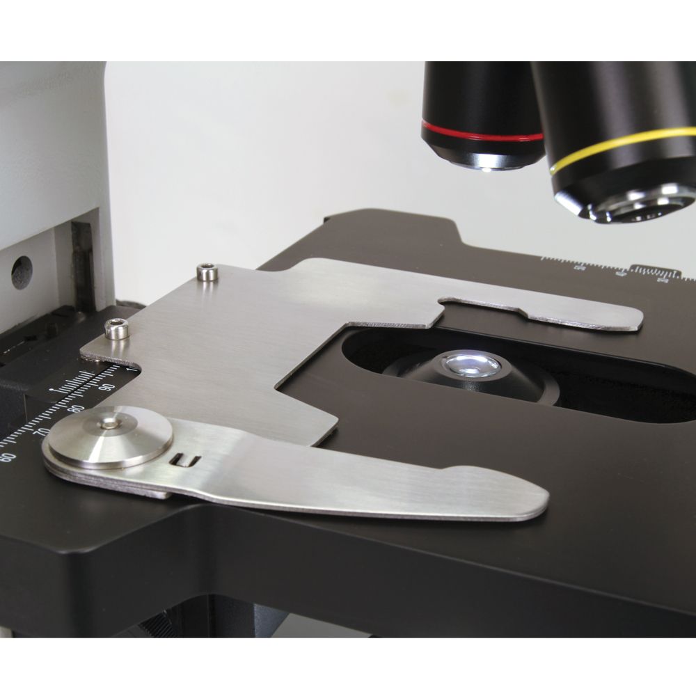 Wolfe® Beta Elite Microscopes, Built in Mechanical Stage | Carolina ...