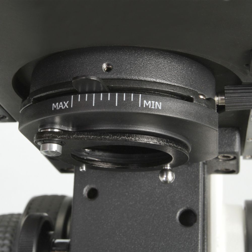 Wolfe® Beta Elite Microscopes, Built in Mechanical Stage | Carolina ...