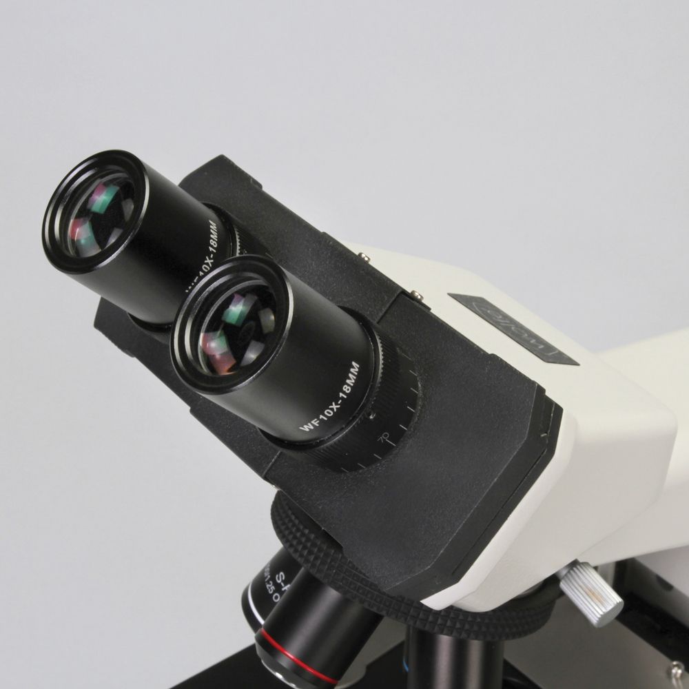 Wolfe® Beta Elite Binocular Microscope | Carolina Biological Supply