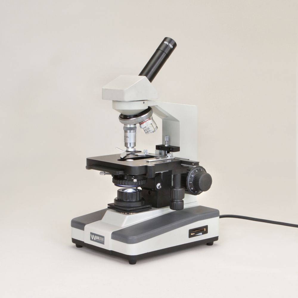 Walter M Series Monocular Microscope | Carolina.com