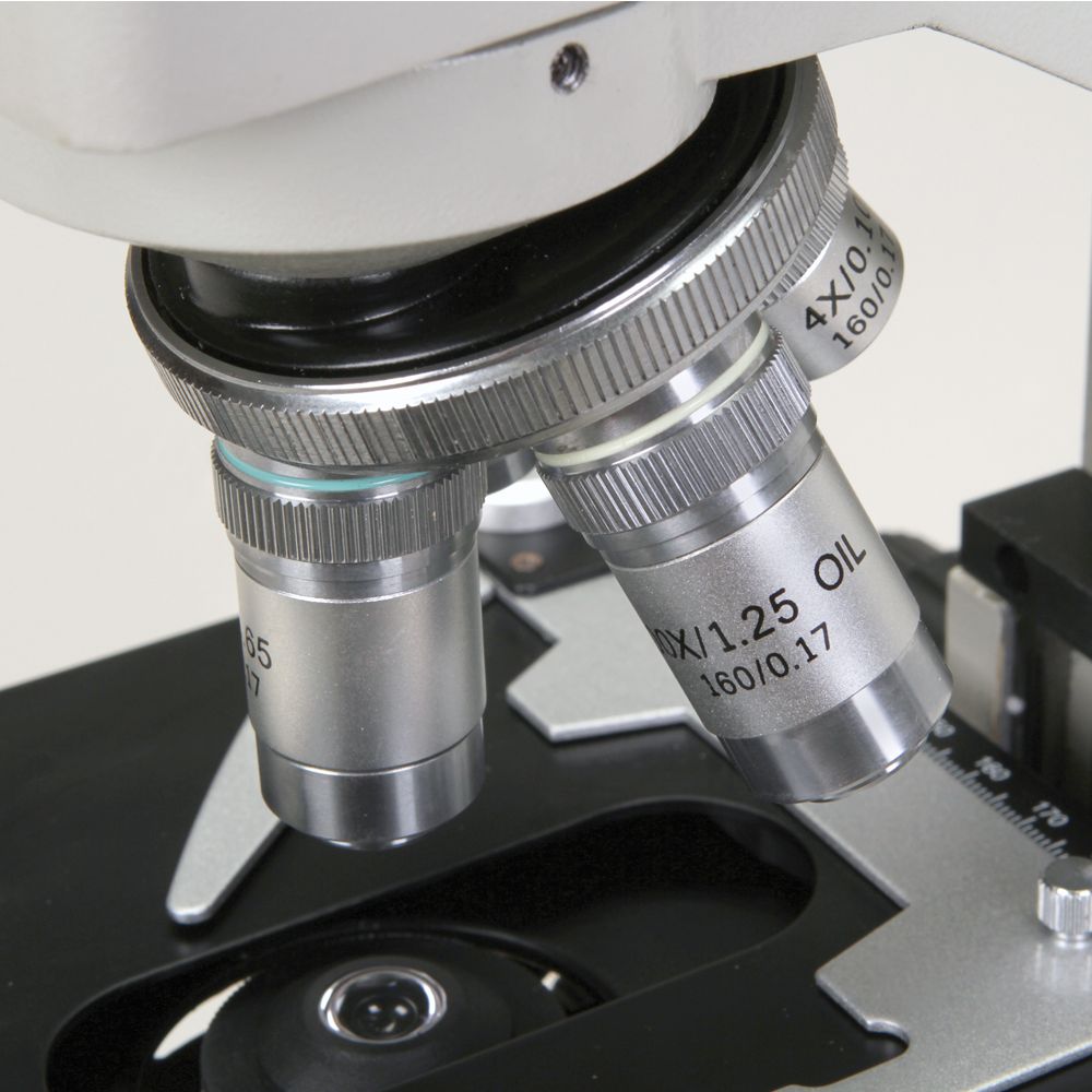 Walter M Series Monocular Microscope | Carolina.com