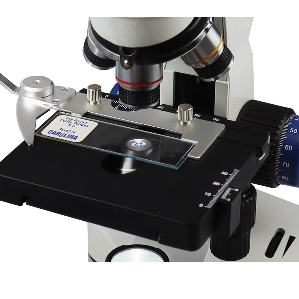 Walter 3050-100 Series Cordless Compound Microscope | Carolina ...