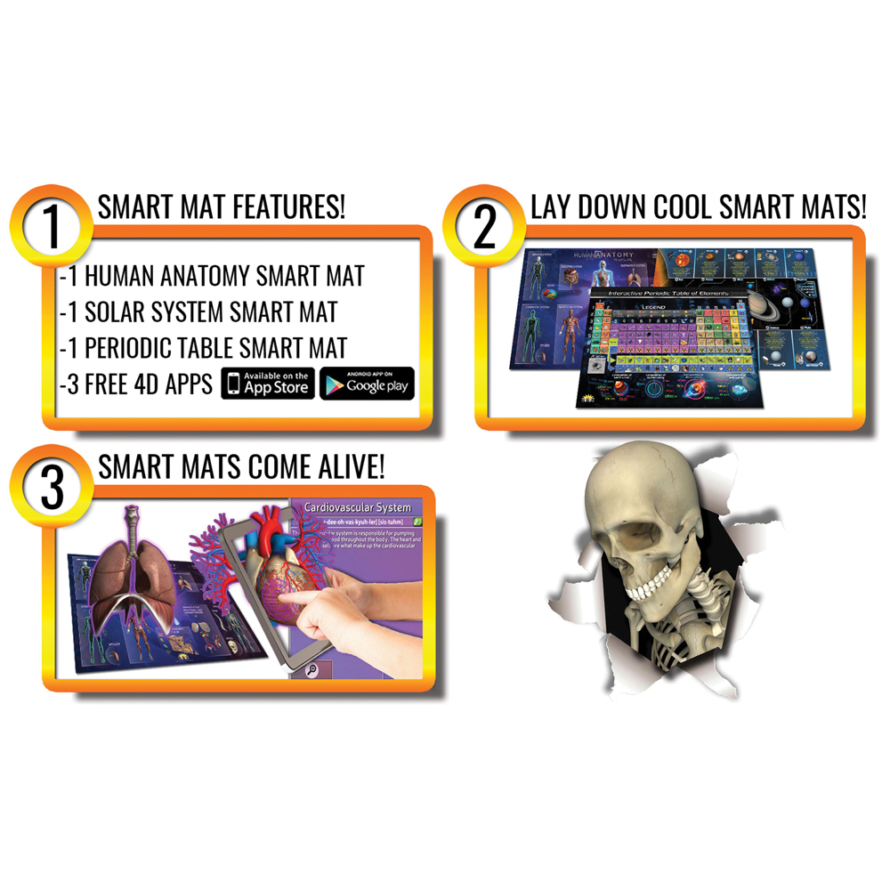 Assorted Science 4-D Smart Mats, Set of 3 | Carolina Biological Supply