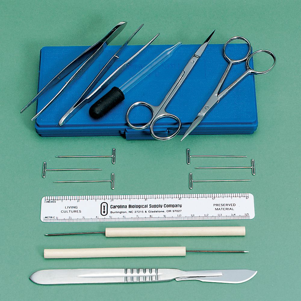 Comparative Anatomy Dissecting Sets | Carolina.com