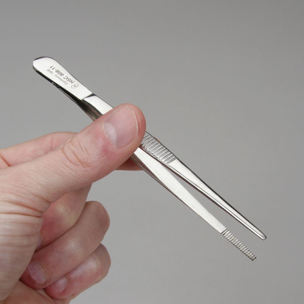 Forceps, Stainless-Steel, Blunt Points, Straight, 4 1/2 in | Carolina.com