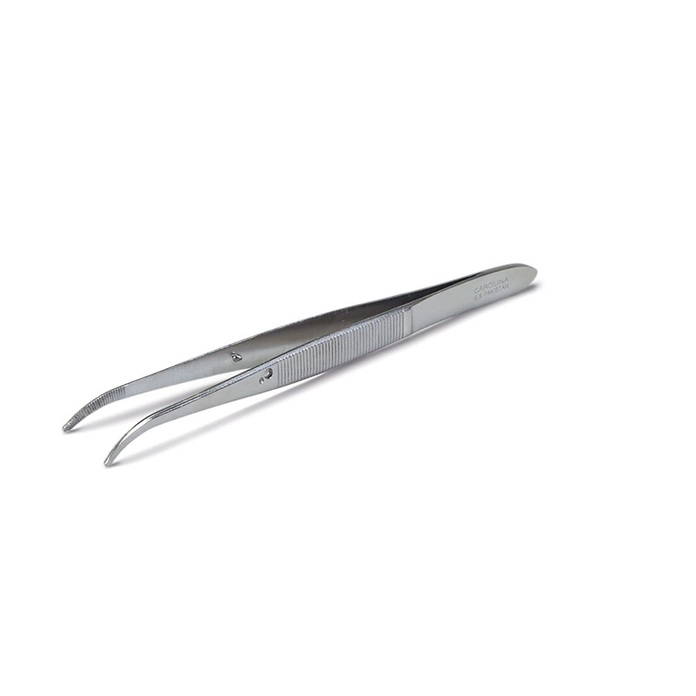 Dissecting Forceps, Medium Points, Stainless Steel, Curved, 4 1/2 in ...
