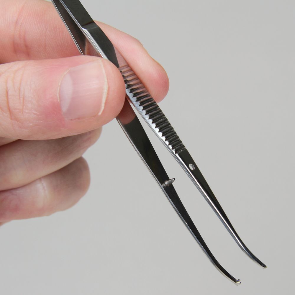 Fine Tissue Forceps, Stainless Steel, 1 x 2 Teeth, Curved, 4 in ...