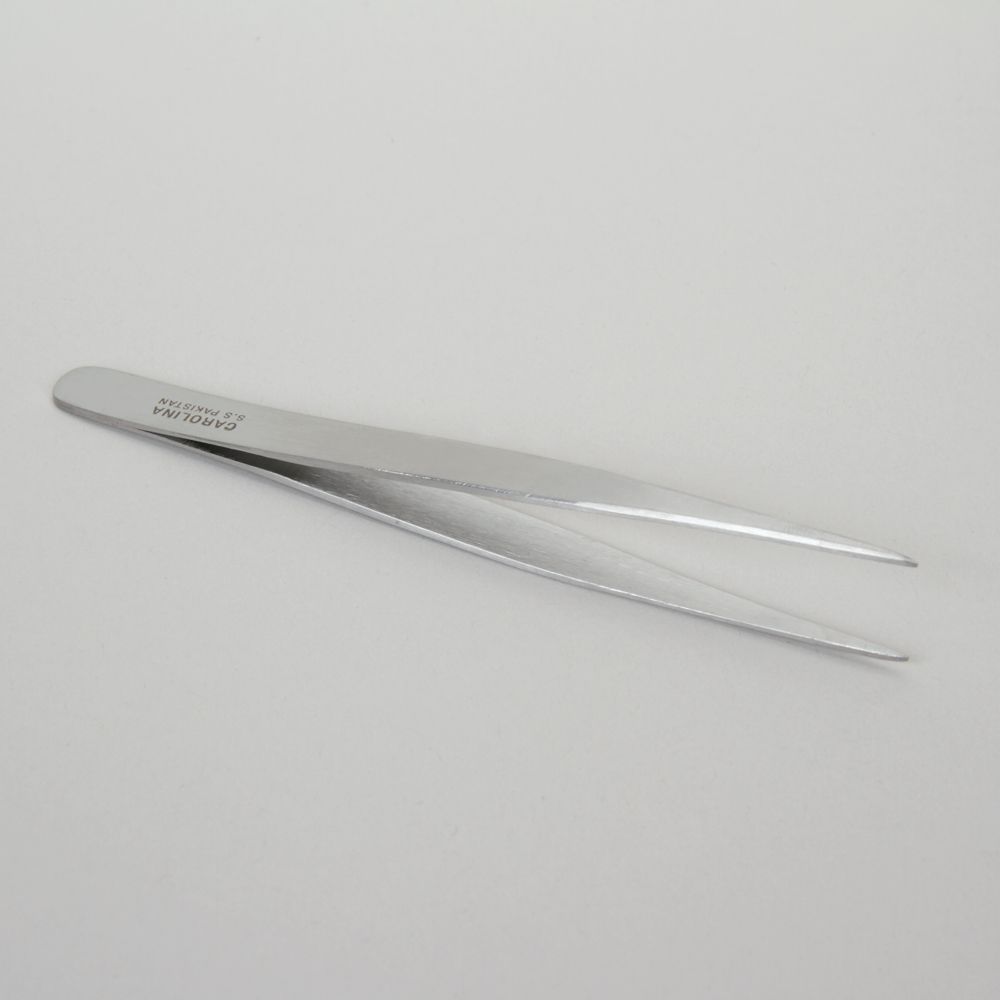 Microdissection Forceps, Stainless Steel, Smooth Handle, Extra-Fine ...