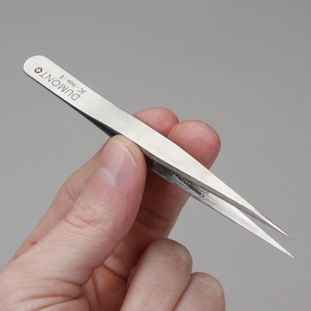Precision Watchmaker's Forceps, Stainless Steel, Fine Point | Carolina ...