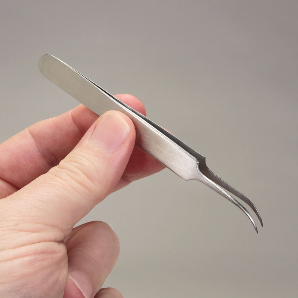 Microdissection Forceps, Stainless Steel, Smooth Handle, Extra-Fine ...