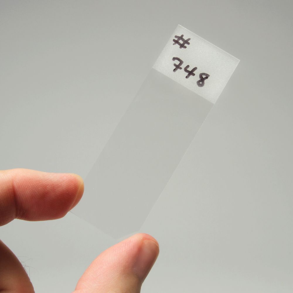 Carolina® Microscope Slide, Glass, Permafrosted End, 25 x 75 mm, 0.96-1 ...