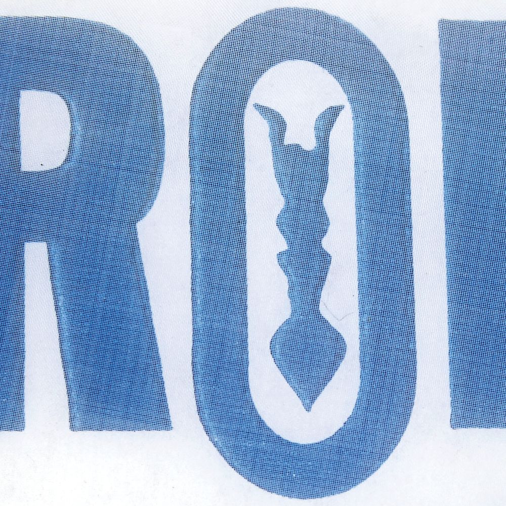 Student Aquatic Net, D-Frame | Carolina Biological Supply