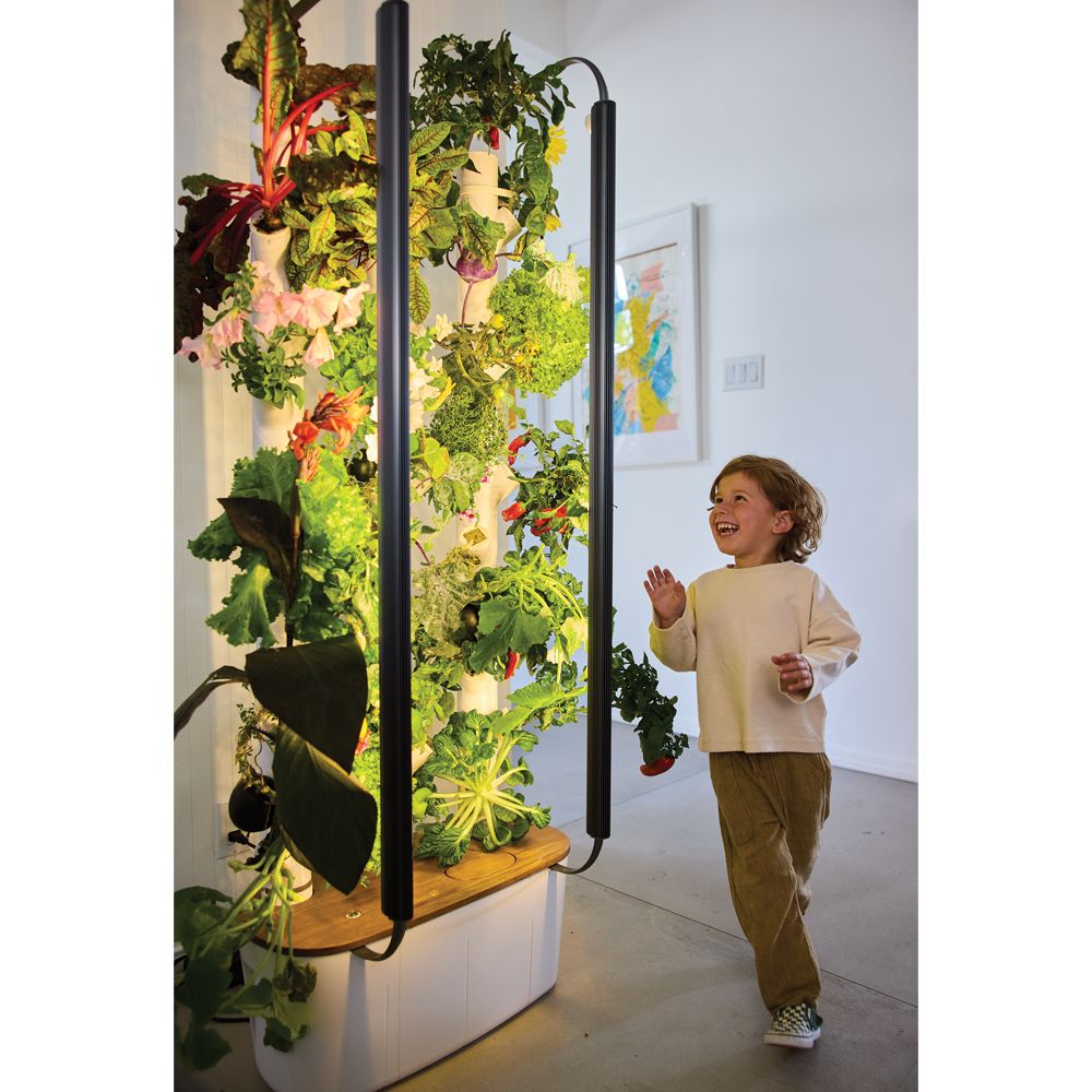 Gardyn® Home and Classroom 4.0 Kit | Carolina Biological Supply