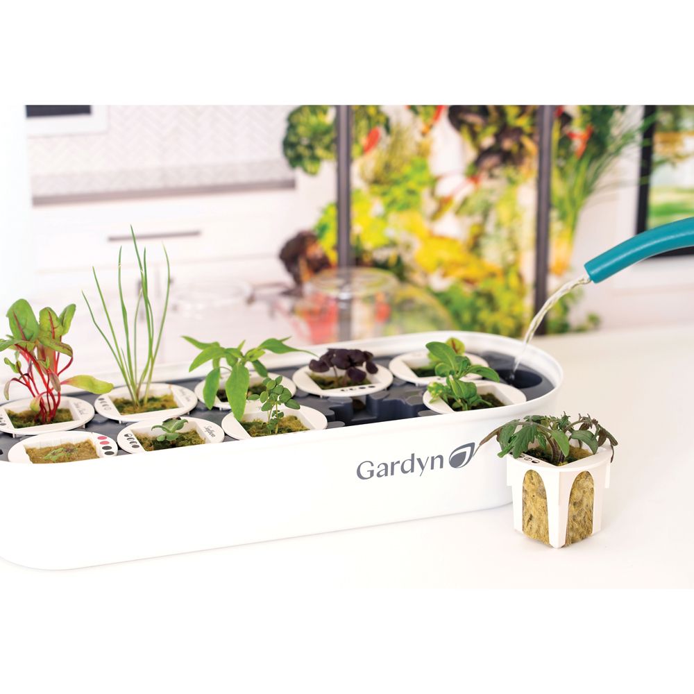 Gardyn® Sprout Nursery | Carolina Biological Supply