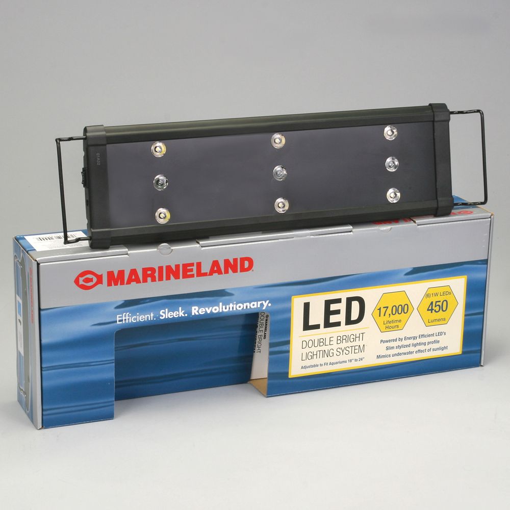 LED Aquarium Light Strips | Carolina.com