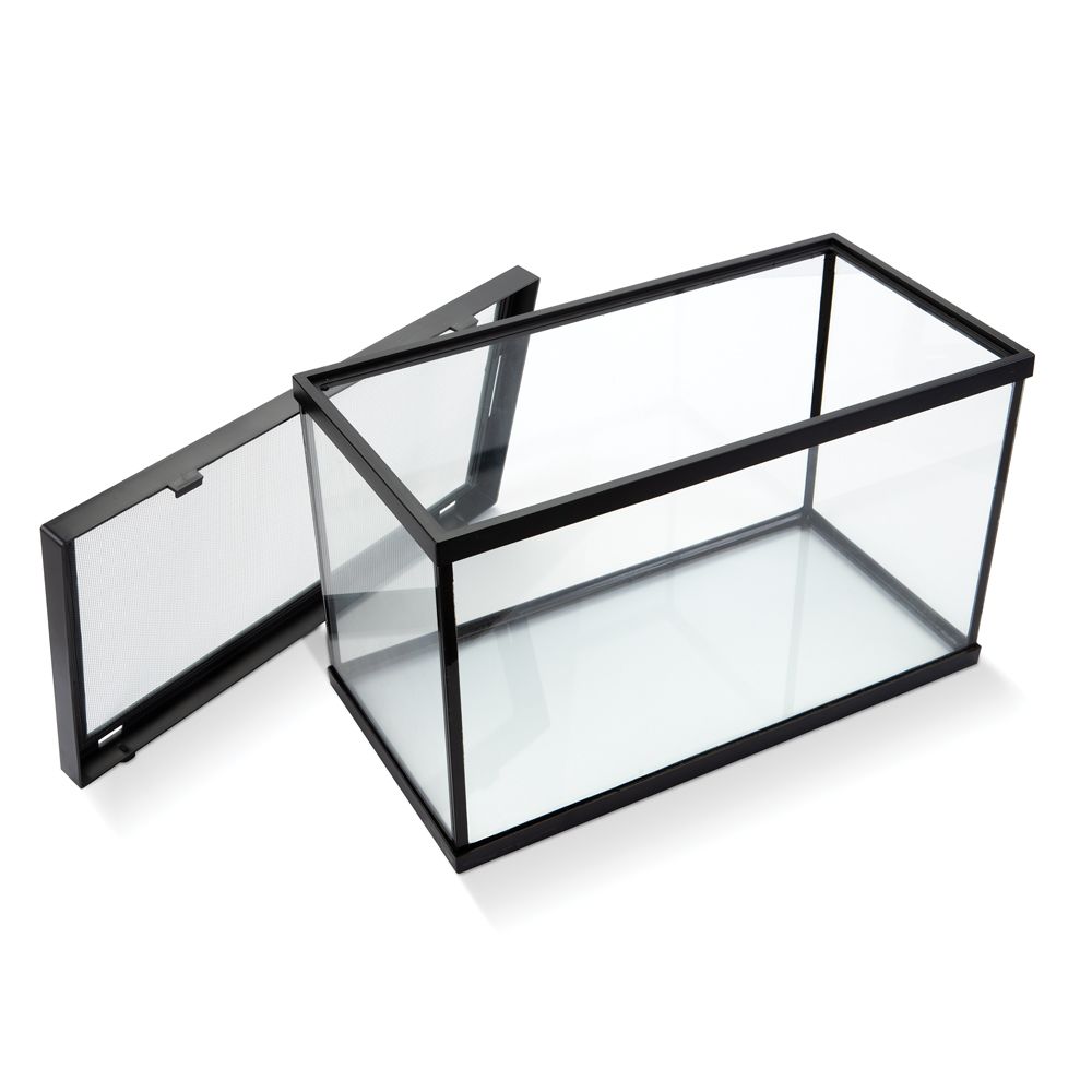 Amphibian or Reptile Tank, 10 gal | Carolina Biological Supply