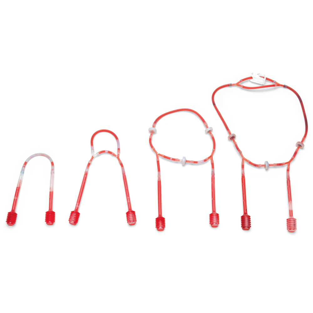Carolina STEM Challenge®: Circulatory System 1-Station Kit | Carolina ...