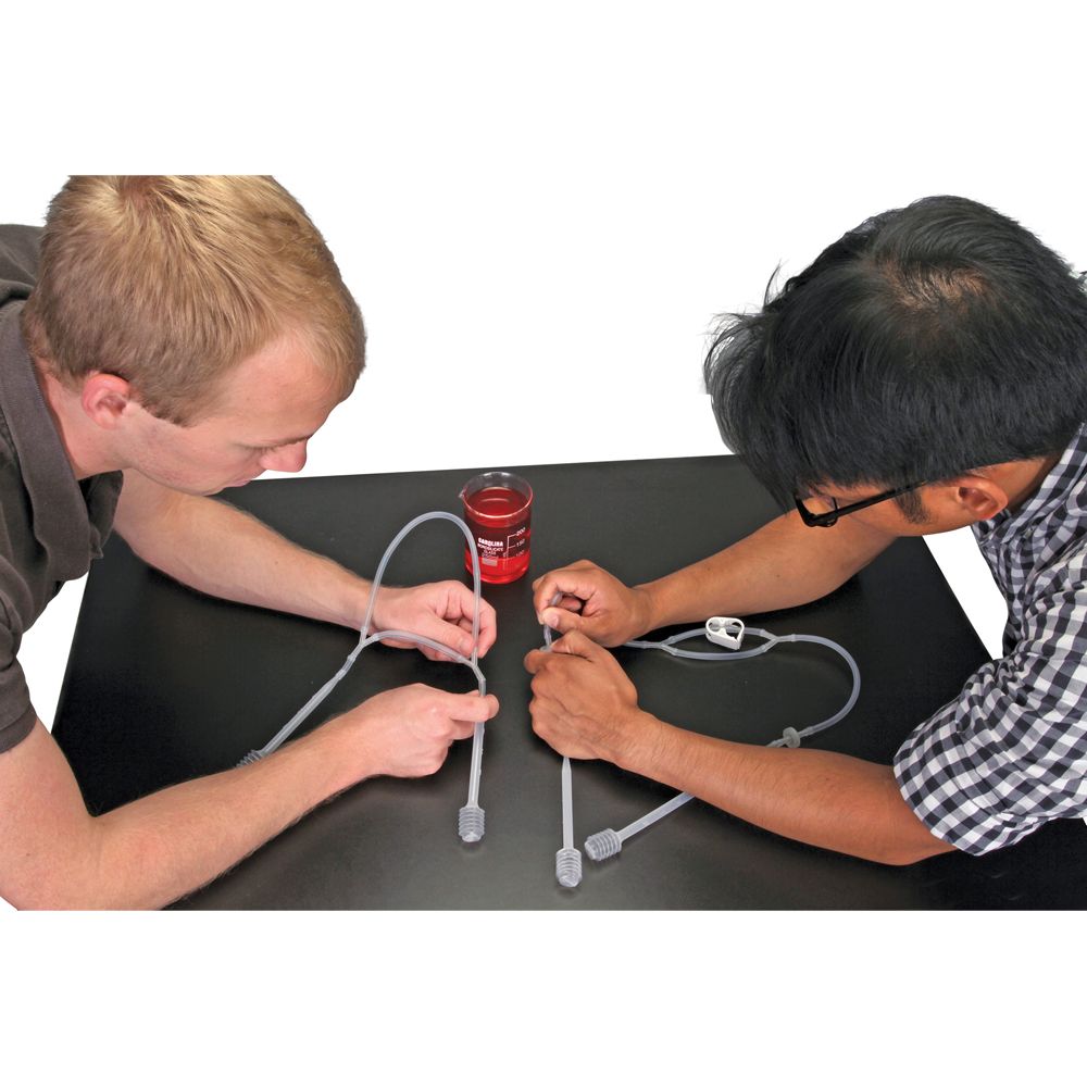 Carolina STEM Challenge®: Circulatory System 1-Station Kit | Carolina ...