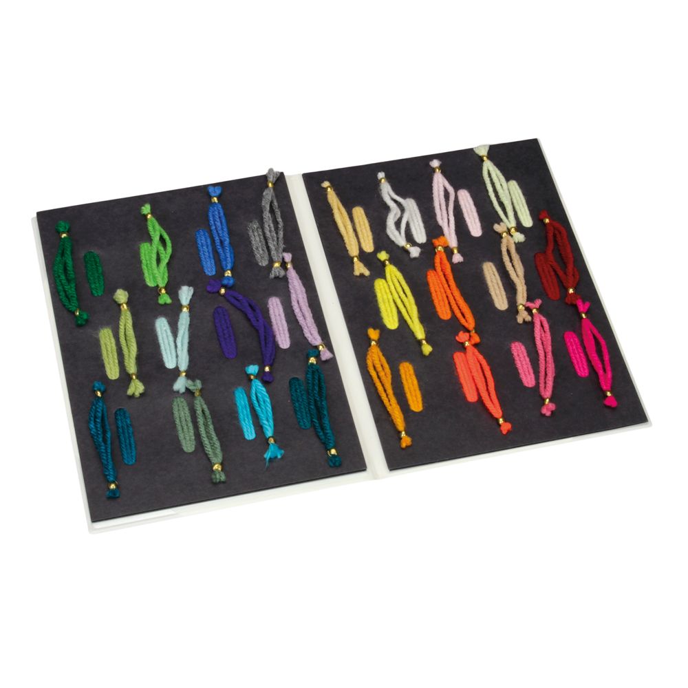 Carolina® Visual Perception Kit | Carolina Biological Supply