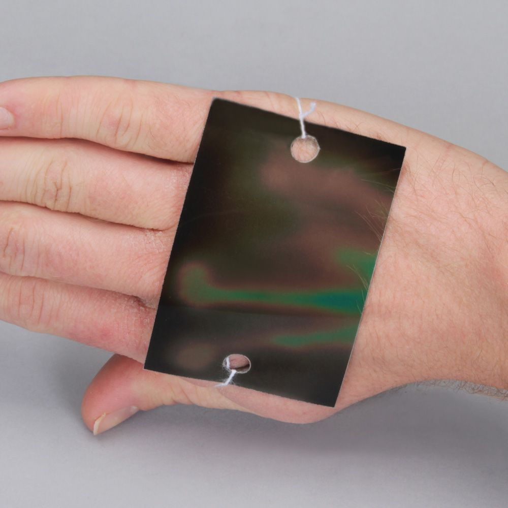 Carolina Thermoregulation Kit | Carolina Biological Supply