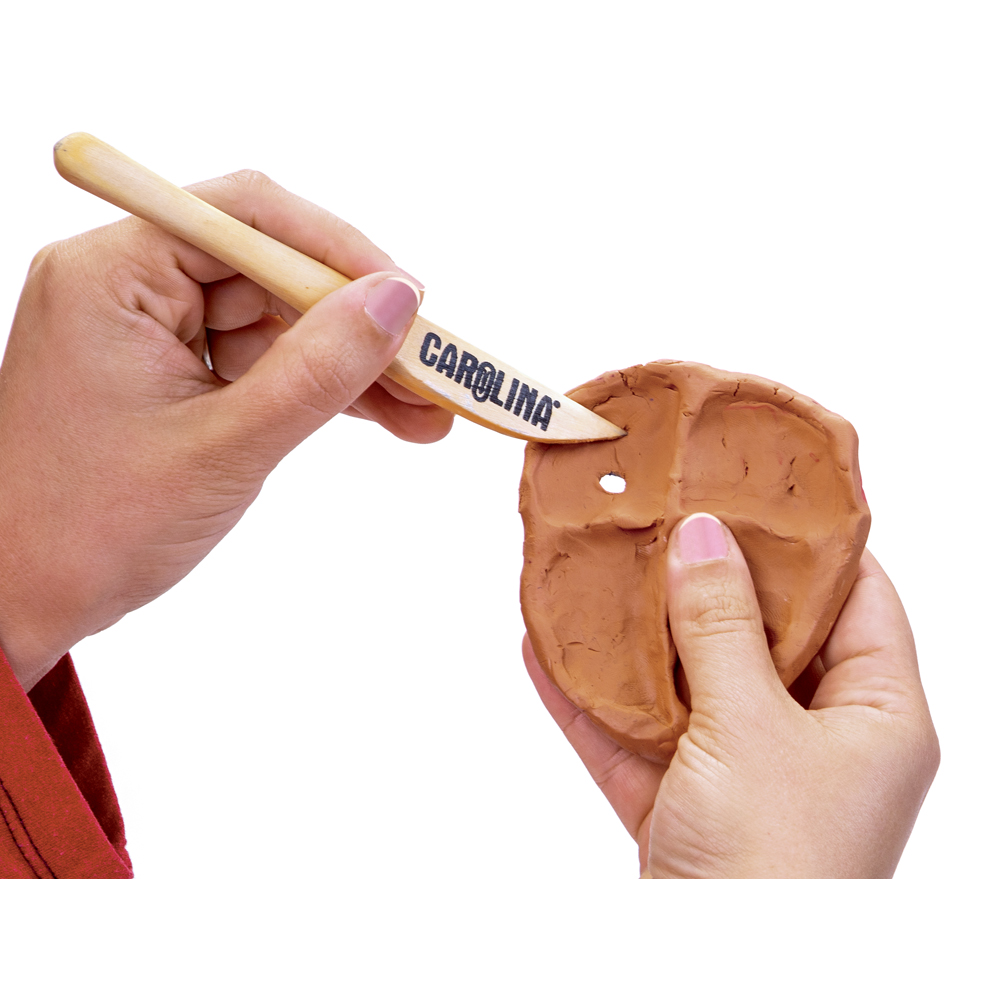 Constructing a Model of the Human Heart Kit | Carolina Biological Supply