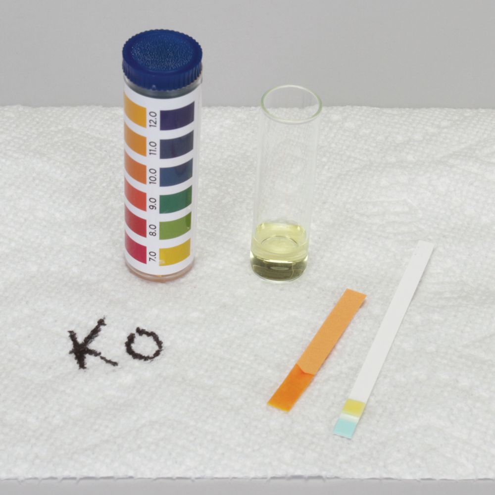 Carolina BioKits®: Urinalysis | Carolina Biological Supply