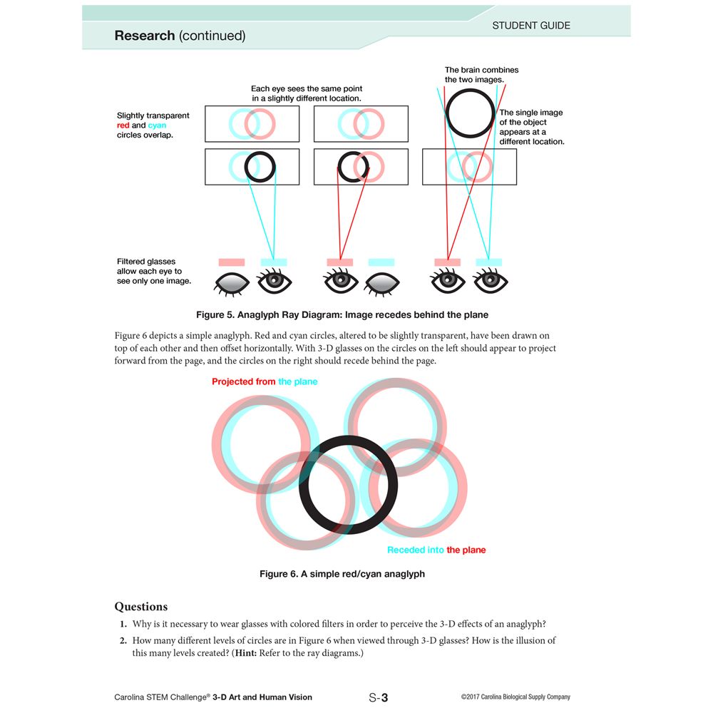 Carolina STEM Challenge®: 3-D Art and Human Vision Kit | Carolina ...