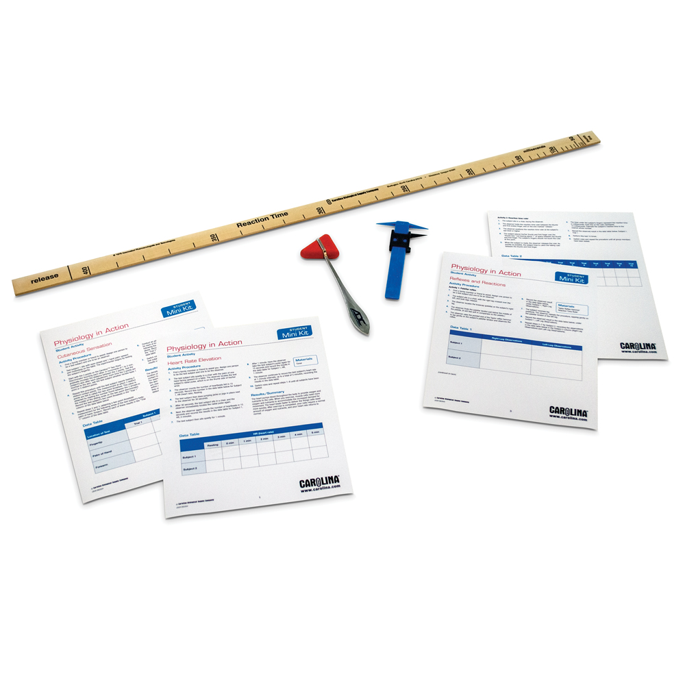 Physiology in Action Student Mini Kit | Carolina Biological Supply