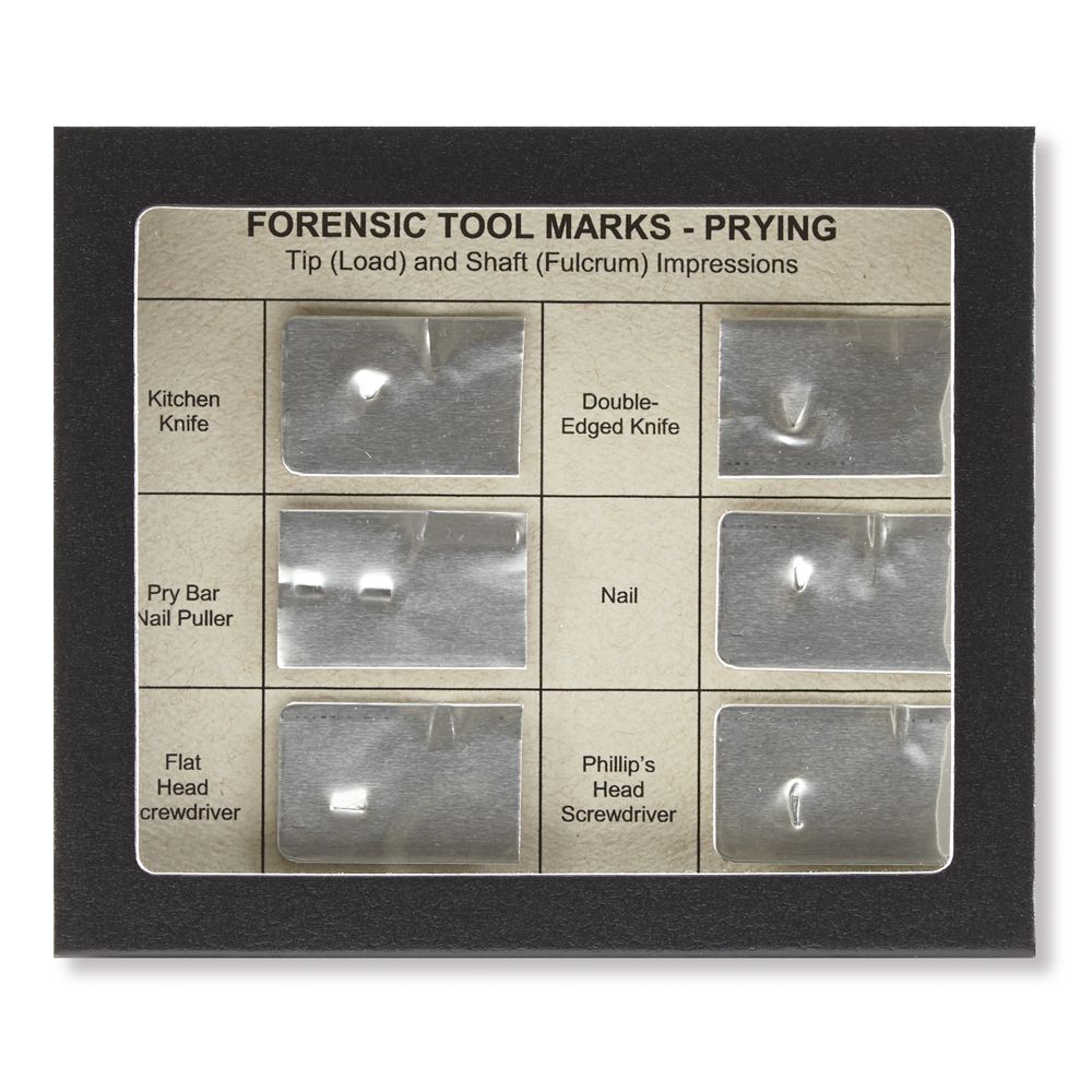 Forensic Tool Marks: Prying Display | Carolina Biological Supply