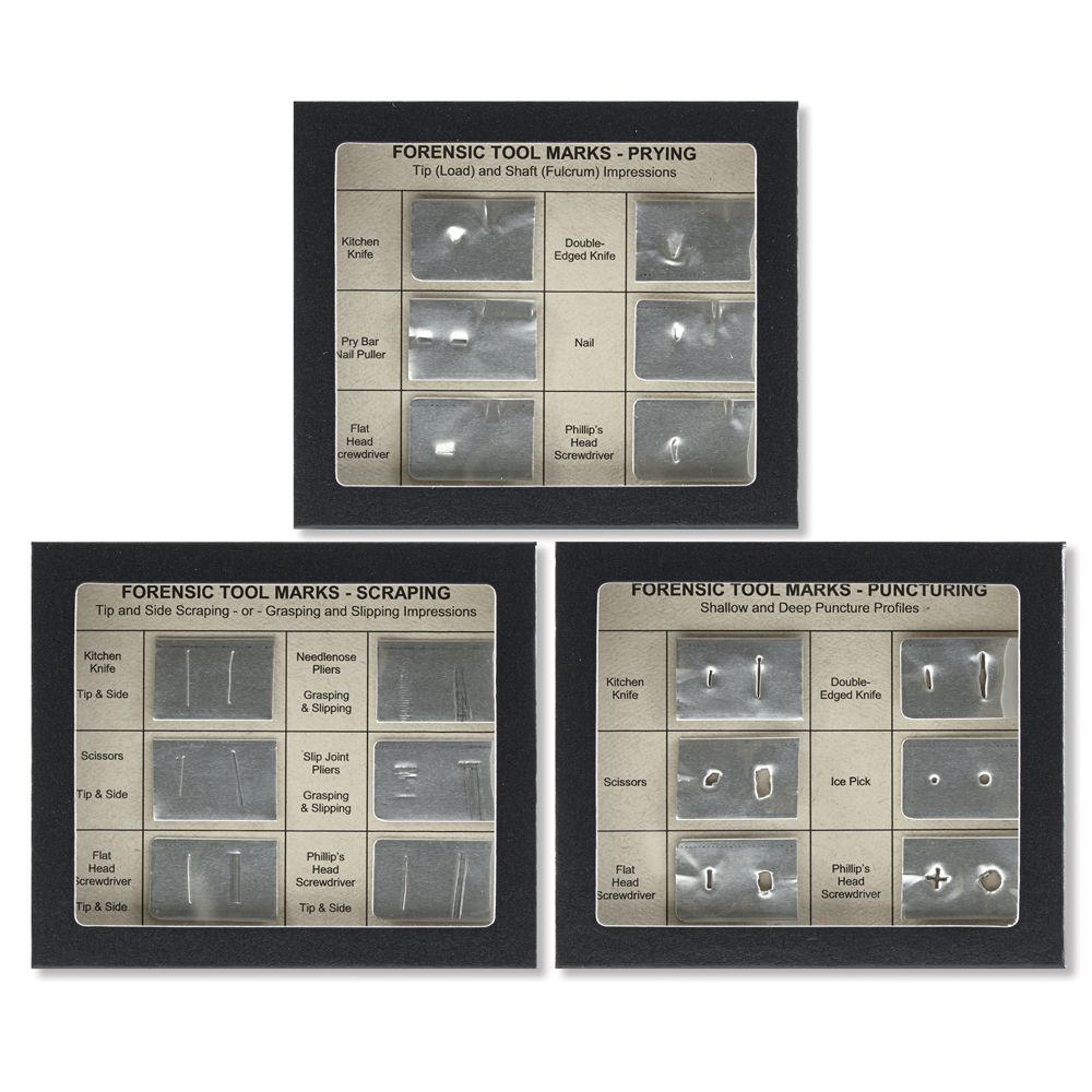 Forensic Tool Marks Display Set: Puncturing, Scraping, and Prying ...