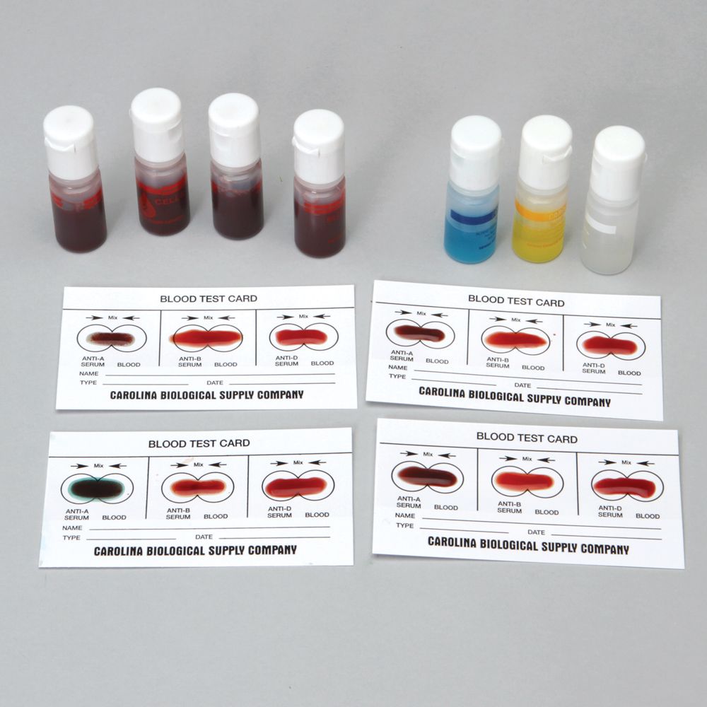 Carolina BioKits®: Blood Cells/Antisera | Carolina Biological Supply