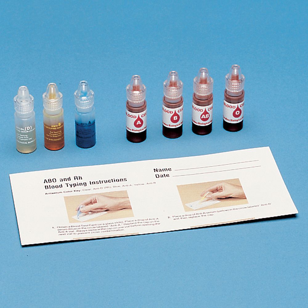 Blood Cells/Antisera ABO Set, ABO with Anti-A and Anti-B Sera ...