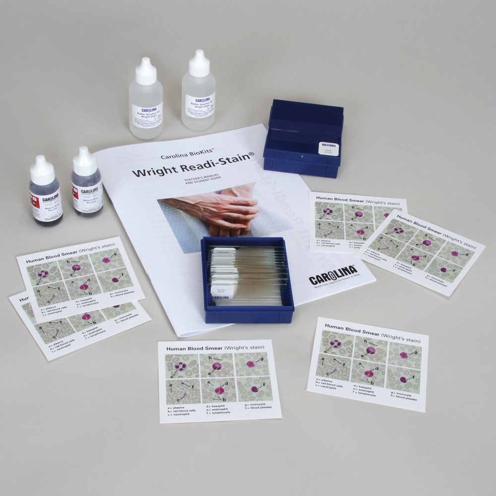 Carolina BioKits®: Wright Readi-Stain® | Carolina.com