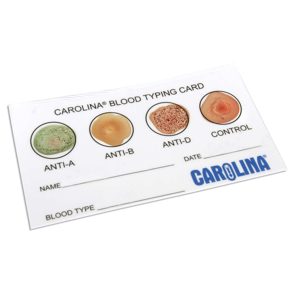 Carolina® Blood Typing Card, Bulk Pack, 100 Cards | Carolina Biological ...