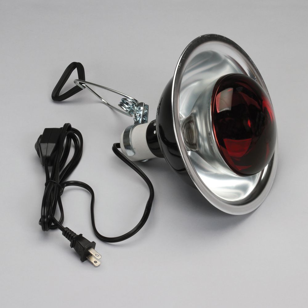 Agricultural Science Buying Guide - Carolina Knowledge Center