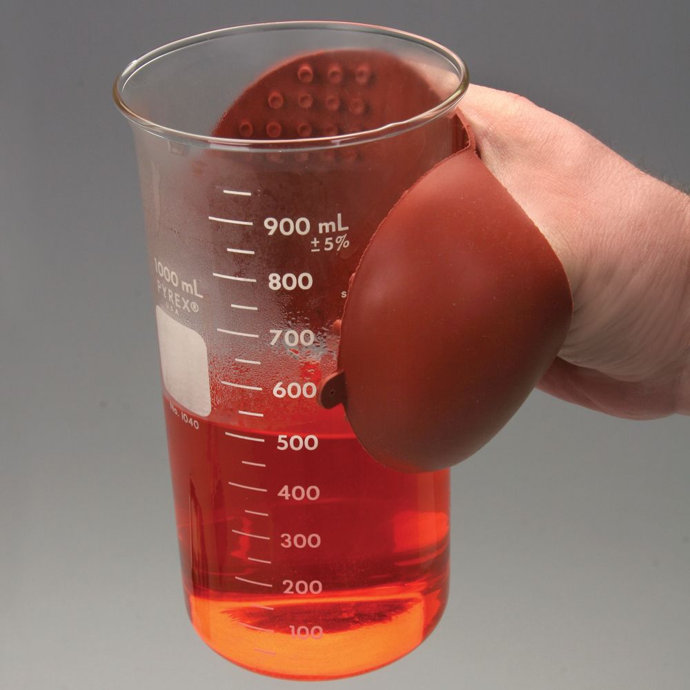 Hand Protector | Carolina.com