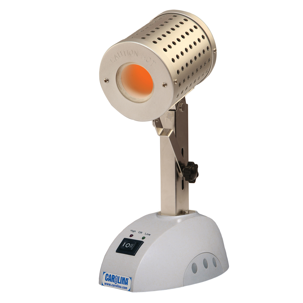 Carolina® Infrared Tilt Bacteria Sterilizer XL, 120 V, US Plug ...