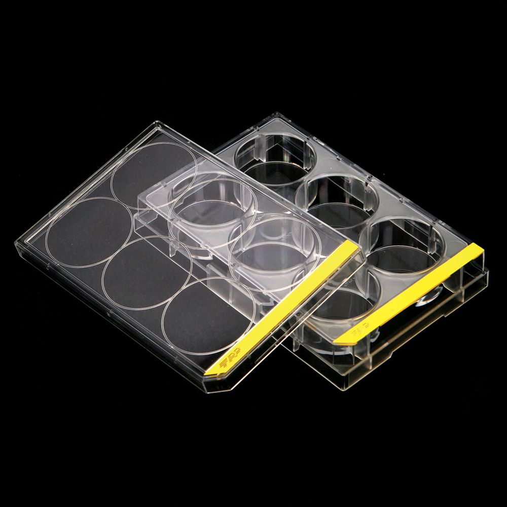 Tissue Culture Plates | Carolina Biological Supply