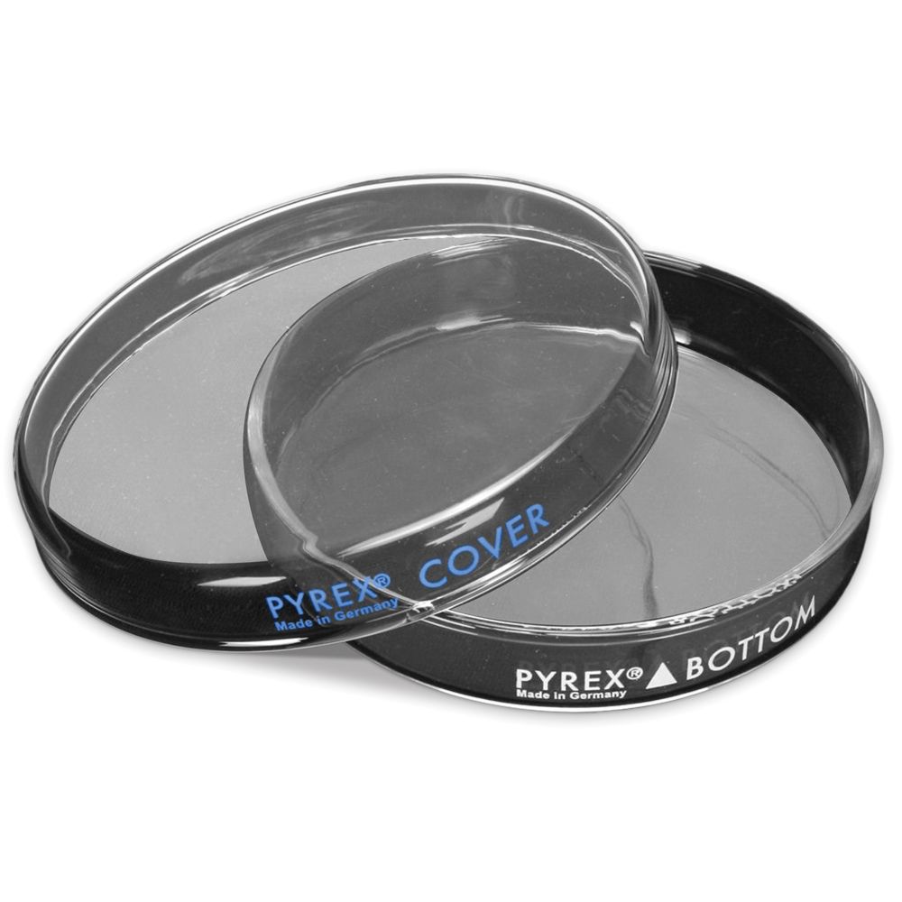 Pyrex®, Petri Culture Dish, 100 x 10 mm | Carolina Biological Supply