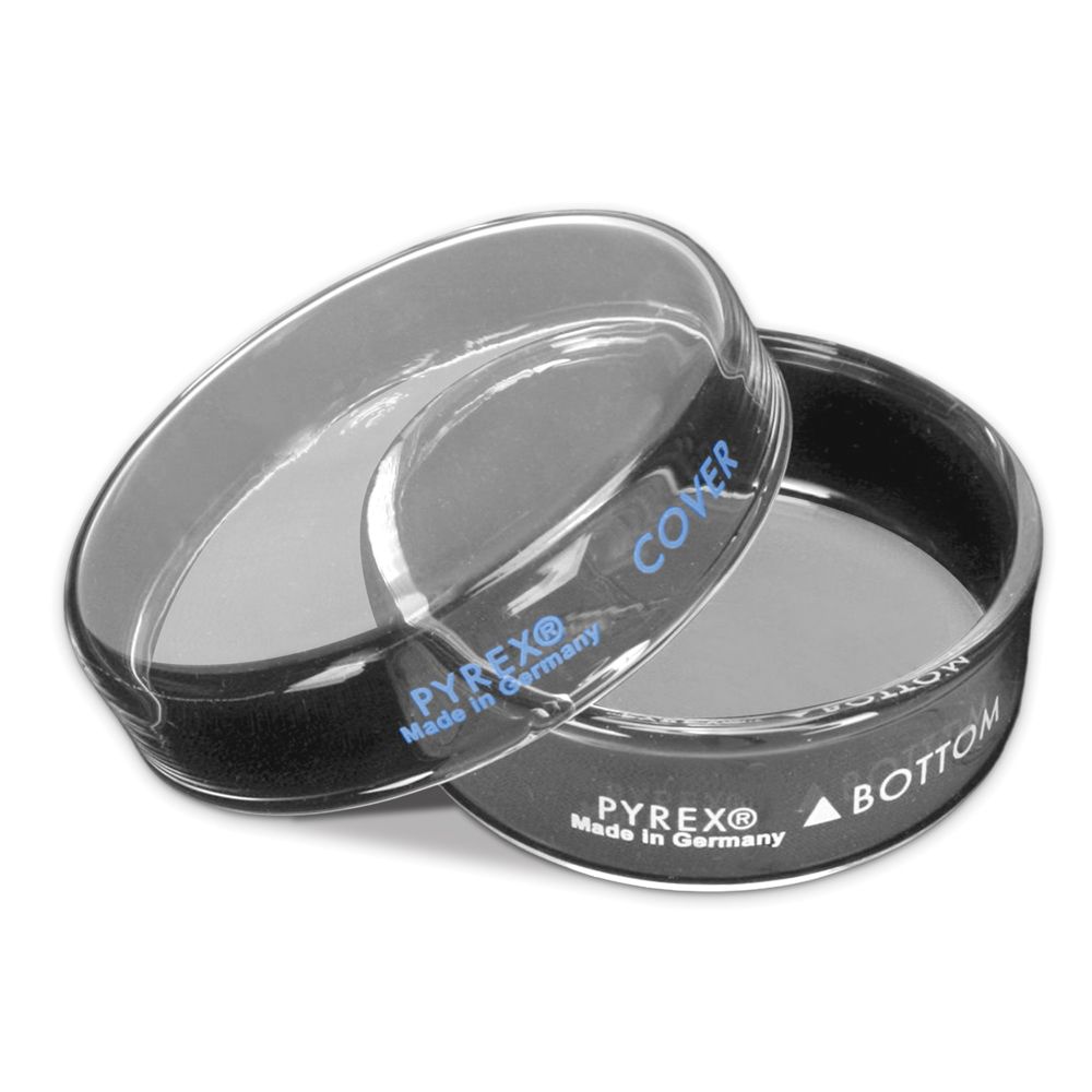 Pyrex®, Petri Culture Dish, 100 x 15 mm | Carolina Biological Supply