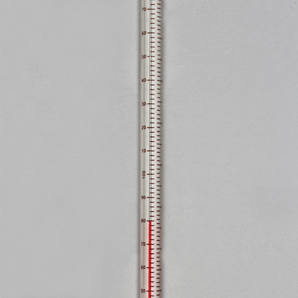 Red Spirit-Filled Partial Immersion 12" Thermometer (-20 to 150 C; 0 to ...