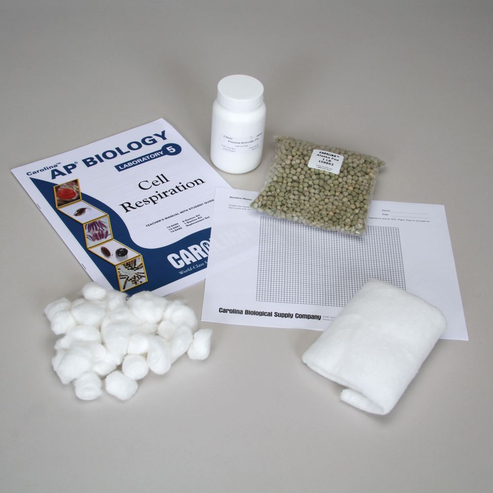 Cell Respiration 8-Station Replacement Set | Carolina Biological Supply