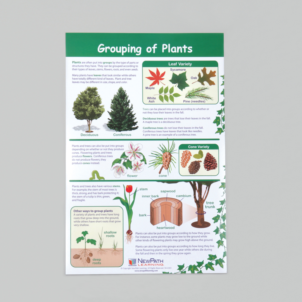 Types Of Plants Chart